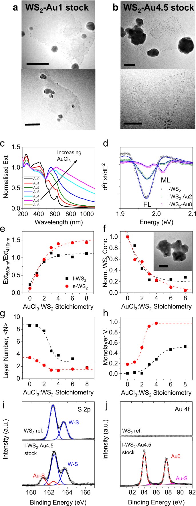 Production of monolayer-rich gold-decorated 2H–WS 2 nanosheets by ...