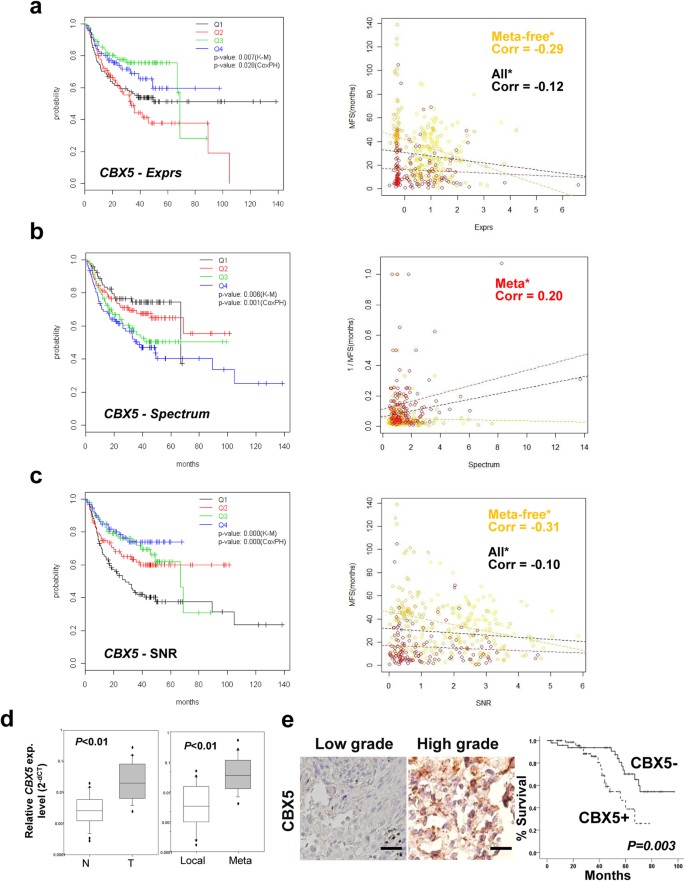 Network Biology of Tumor Stem-like Cells Identified a Regulatory Role ...