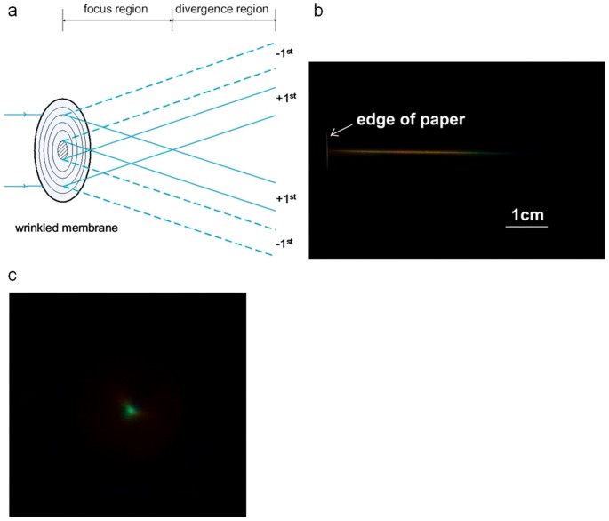 Generation of diffraction-free optical beams using wrinkled membranes ...