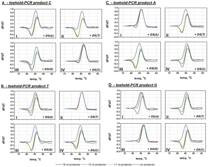 Protected DNA strand displacement for enhanced single nucleotide ...