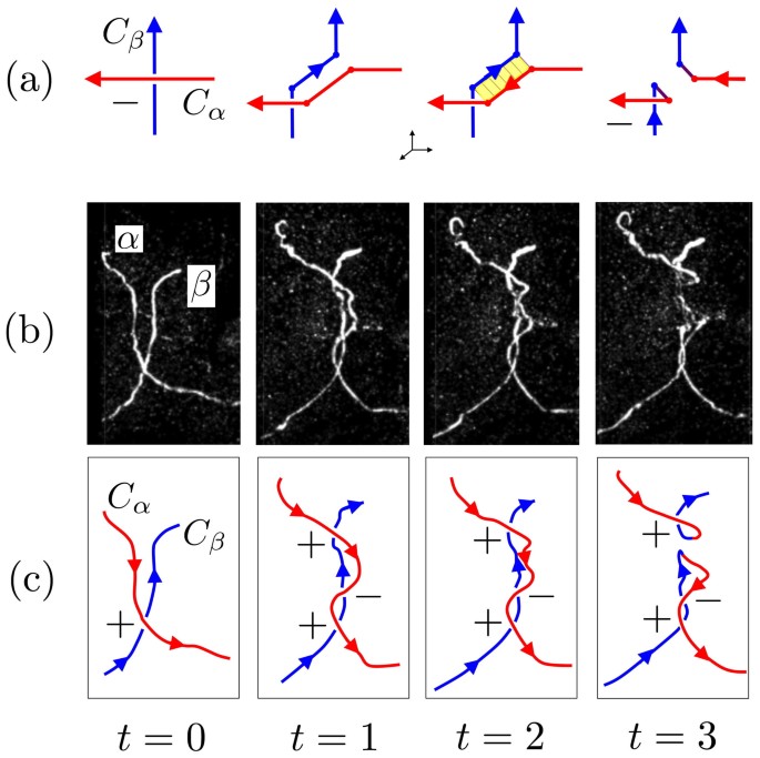 Conservation of writhe helicity under anti-parallel reconnection ...
