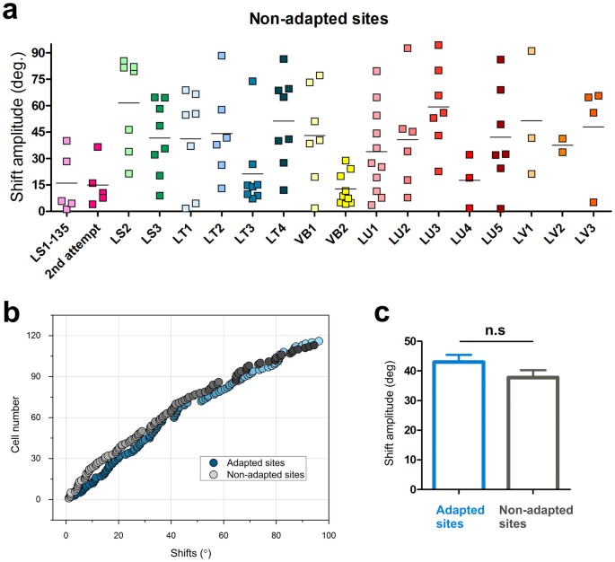 Reprogramming of orientation columns in visual cortex: a domino effect | Scientific Reports