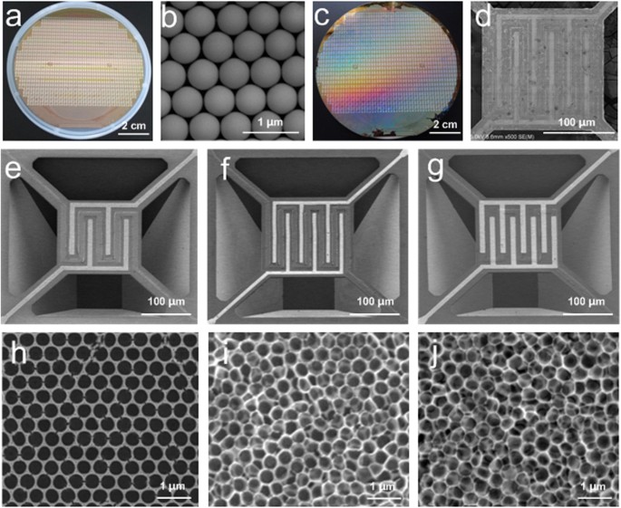 Micro/Nano Gas Sensors: A New Strategy Towards In-Situ Wafer-Level ...