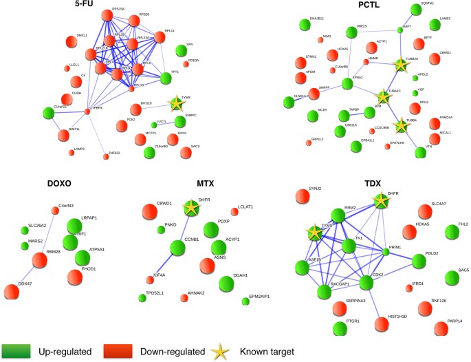 Functional Identification of Target by Expression Proteomics (FITExP ...