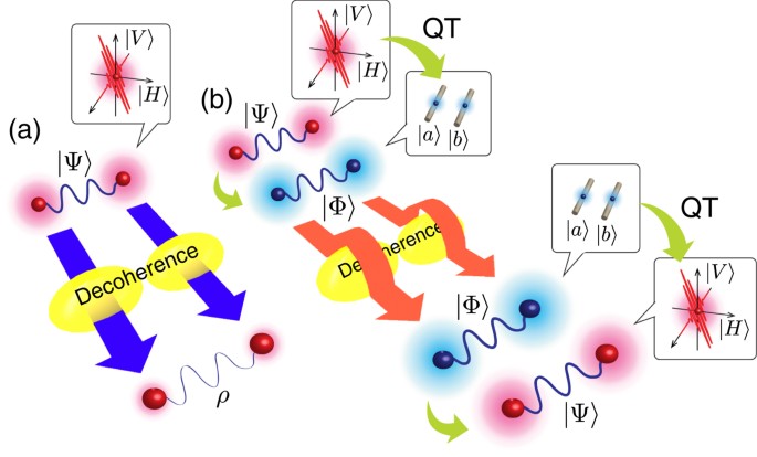 Experimental demonstration of high fidelity entanglement distribution over decoherence channels ...