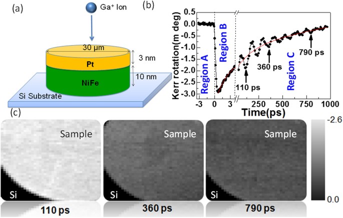 Tunable Magnetization Dynamics in Interfacially Modified Ni 81 Fe 19 ...