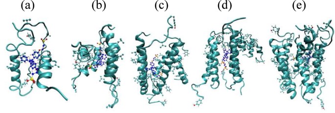 Mechanism of Inhibition of Human Islet Amyloid Polypeptide-Induced ...