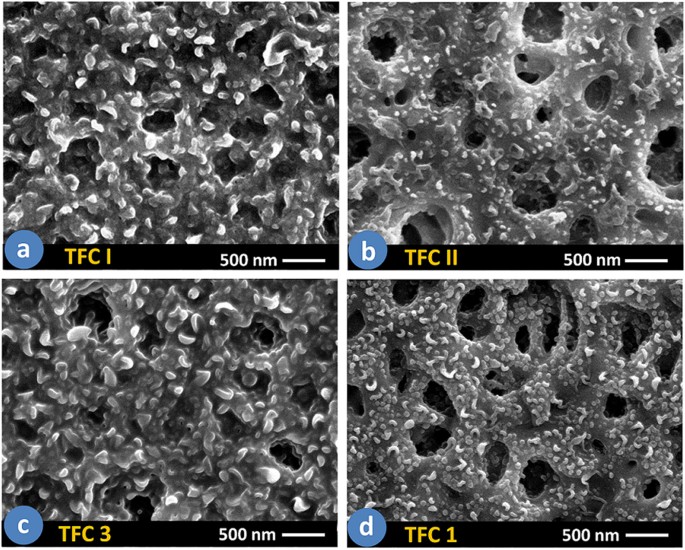 A Novel Approach Toward Fabrication of High Performance Thin Film ...