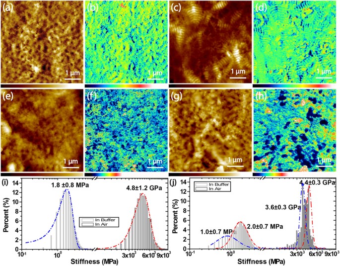 The Ultrastructures and Mechanical Properties of the Descement’s ...