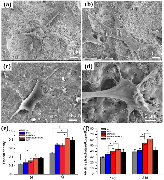 Self-assembled Biodegradable Nanoparticles and Polysaccharides as ...