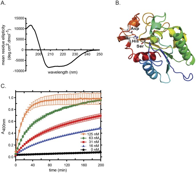 Self-assembly of MPG1, a hydrophobin protein from the rice blast fungus ...