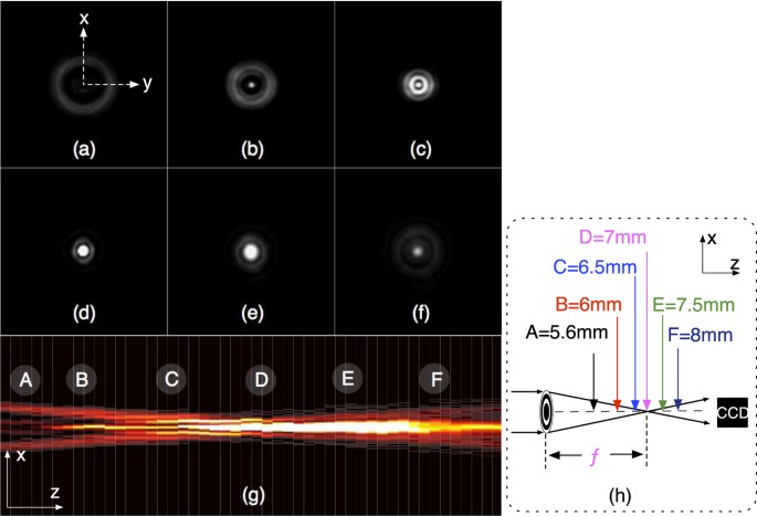 Stretchable Binary Fresnel Lens for Focus Tuning | Scientific Reports