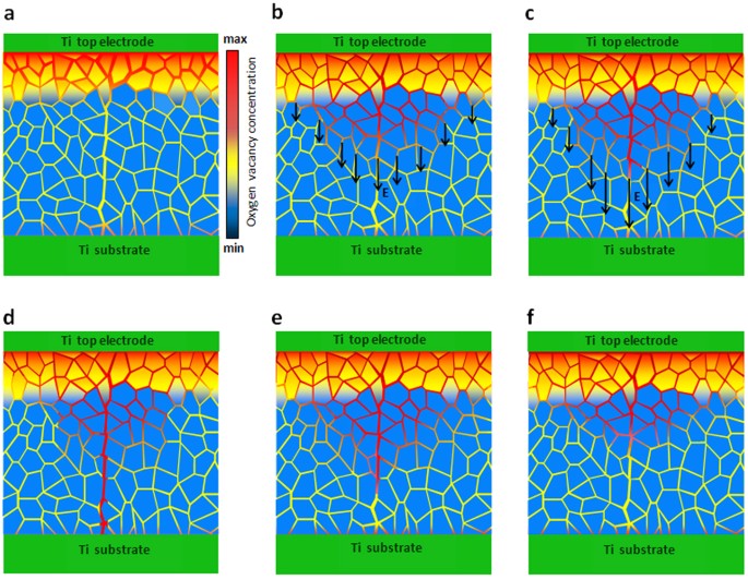 Electronic Conduction in Ti/Poly-TiO 2 /Ti Structures | Scientific Reports