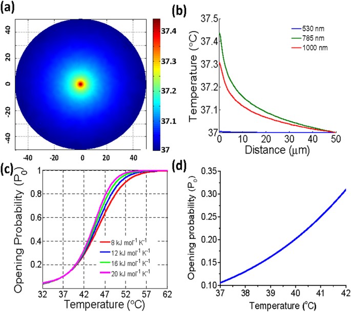 Spatial temperature gradients guide axonal outgrowth | Scientific Reports