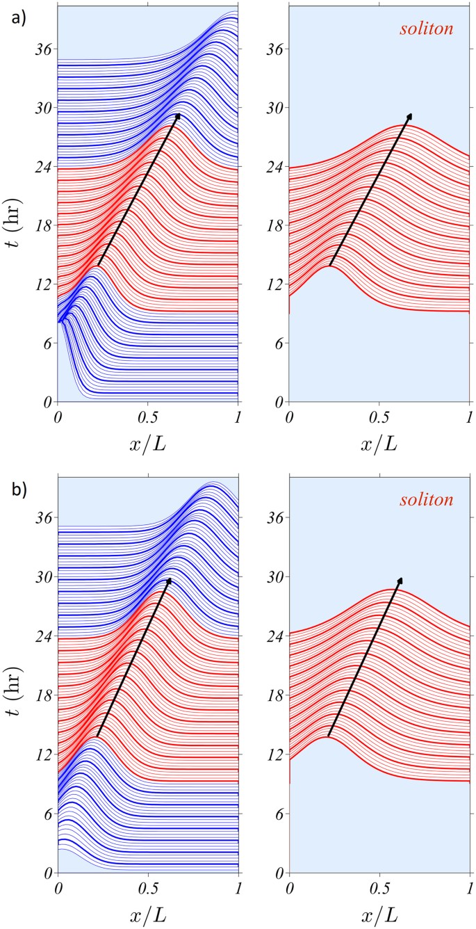 Soliton driven angiogenesis | Scientific Reports