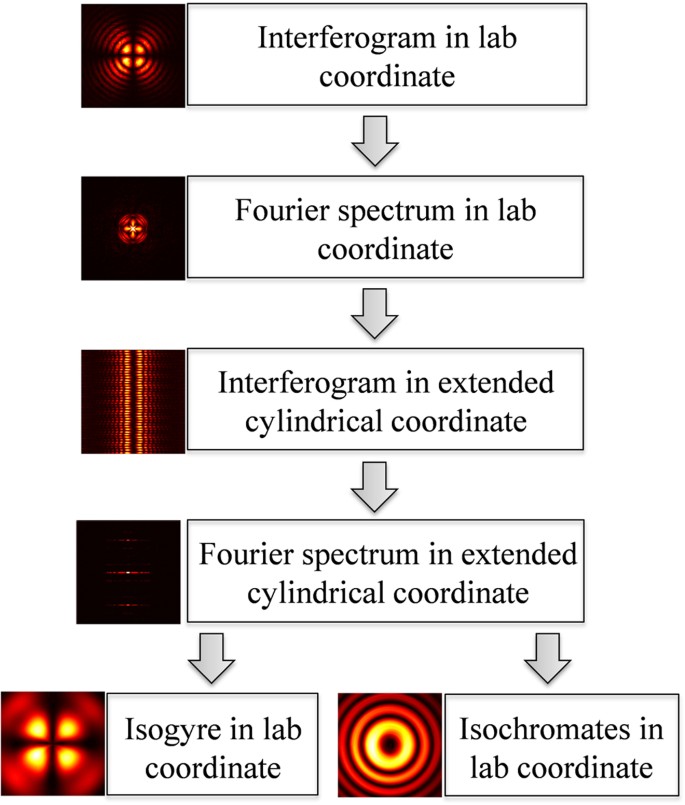Isogyres – Manifestation of Spin-orbit interaction in uniaxial crystal ...