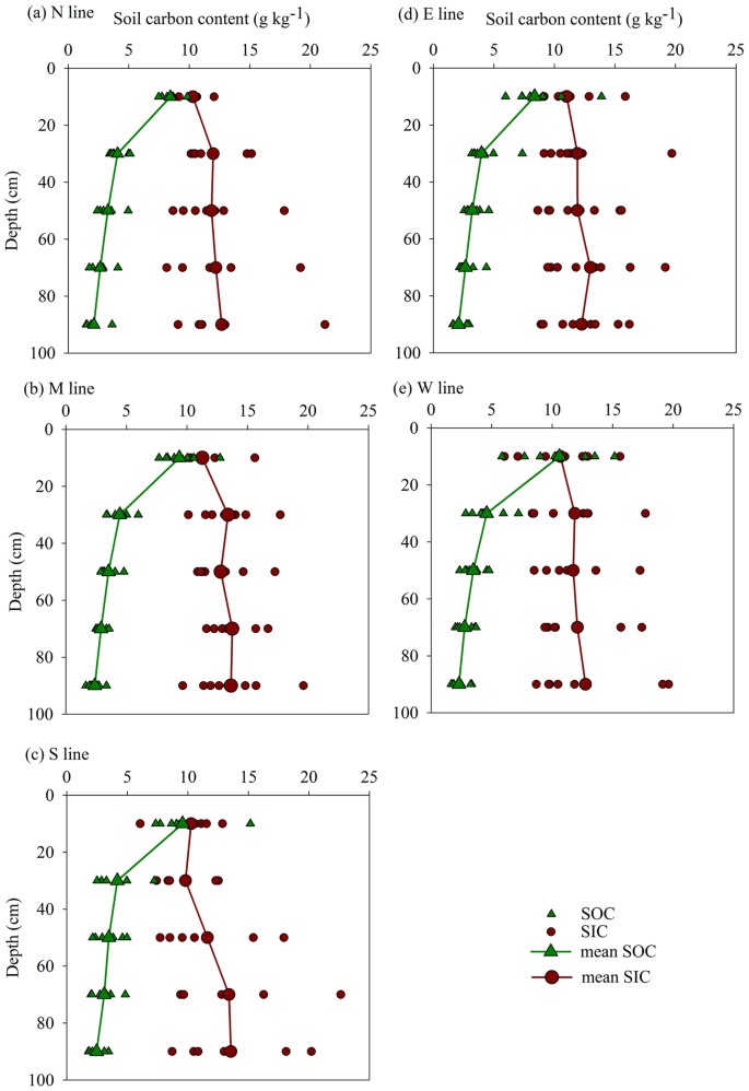 Dynamics of soil organic and inorganic carbon in the cropland of upper Yellow River Delta, China ...