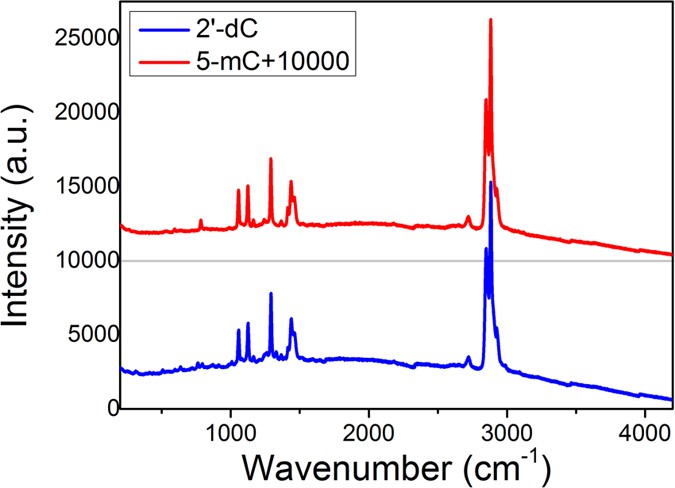 Terahertz molecular resonance of cancer DNA | Scientific Reports