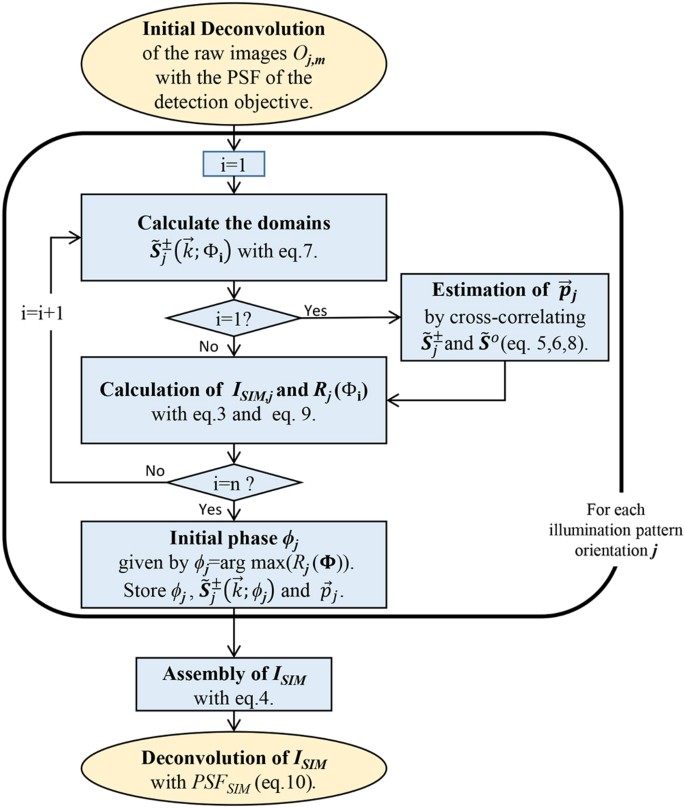 Optimal 2D-SIM reconstruction by two filtering steps with Richardson-Lucy deconvolution ...