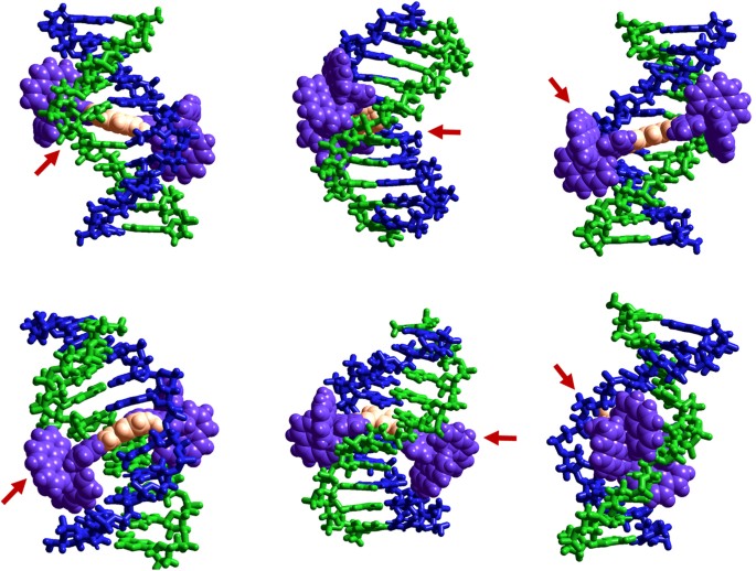 DNA intercalation optimized by two-step molecular lock mechanism ...