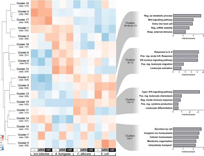 Differential Effects of Vitamins A and D on the Transcriptional ...