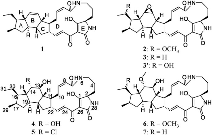 Structural diversity of anti-pancreatic cancer capsimycins identified ...