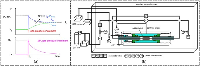 Experimental investigation on the coupled effect of effective stress ...