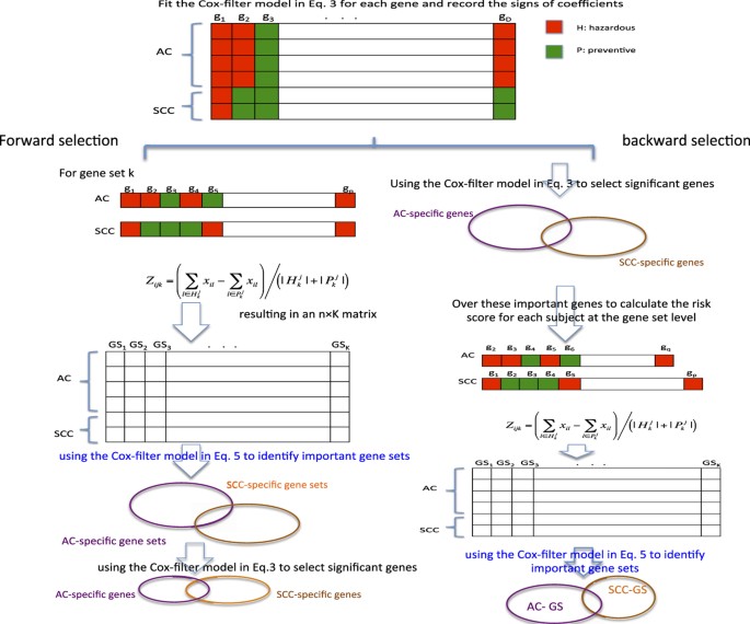 Identification of prognostic genes and gene sets for early-stage non ...