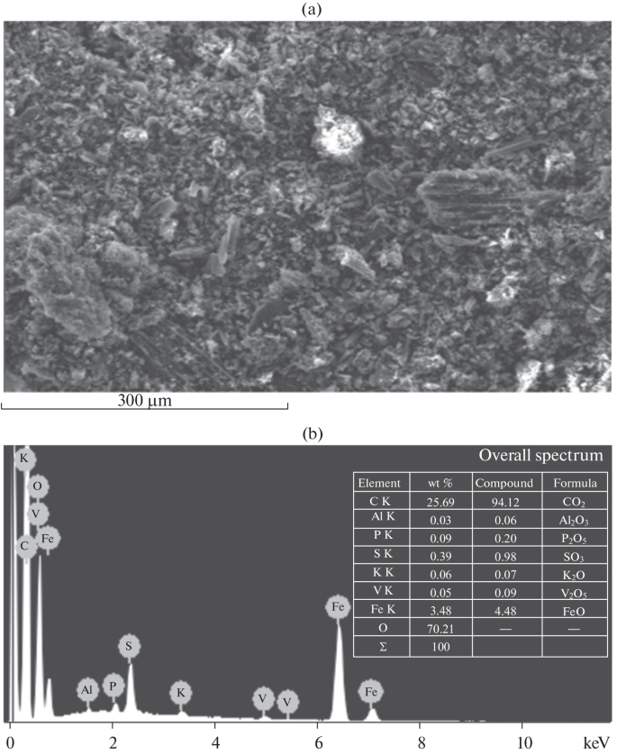 Adsorption of Phosphate Ions from Aluminate Solutions on an Fe–AC ...