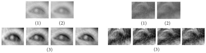 Driver Drowsiness Warning System Using Visual Information for Both ...