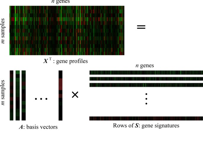 Exploring matrix factorization techniques for significant genes identification of Alzheimer’s ...