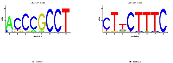 Word-based characterization of promoters involved in human DNA repair ...