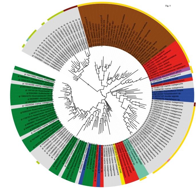 A widespread peroxiredoxin-like domain present in tumor suppression ...