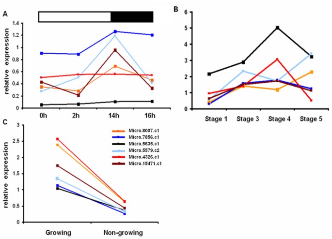 Comparative transcriptome analysis coupled to X-ray CT reveals sucrose ...