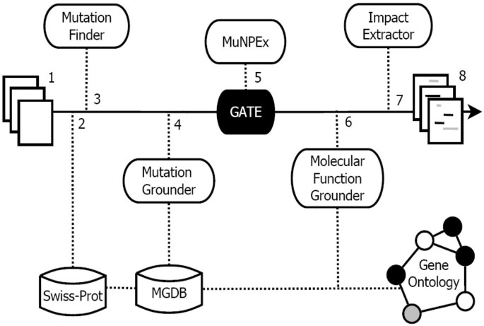 Algorithms and semantic infrastructure for mutation impact extraction and grounding | BMC ...