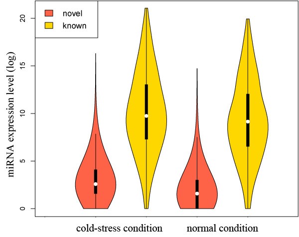 MicroRNA-mediated gene regulation plays a minor role in the ...