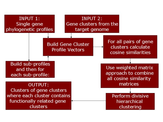 Gene Cluster Profile Vectors: a method to infer functionally related ...