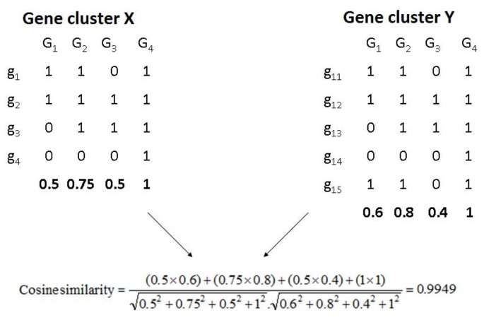 Gene Cluster Profile Vectors: a method to infer functionally related ...