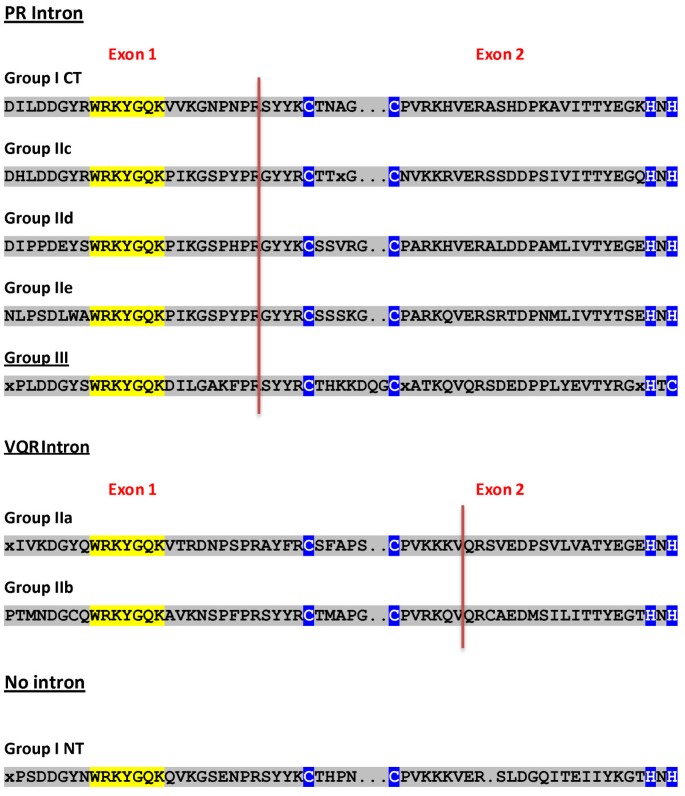 The WRKY transcription factor family in Brachypodium distachyon | BMC ...
