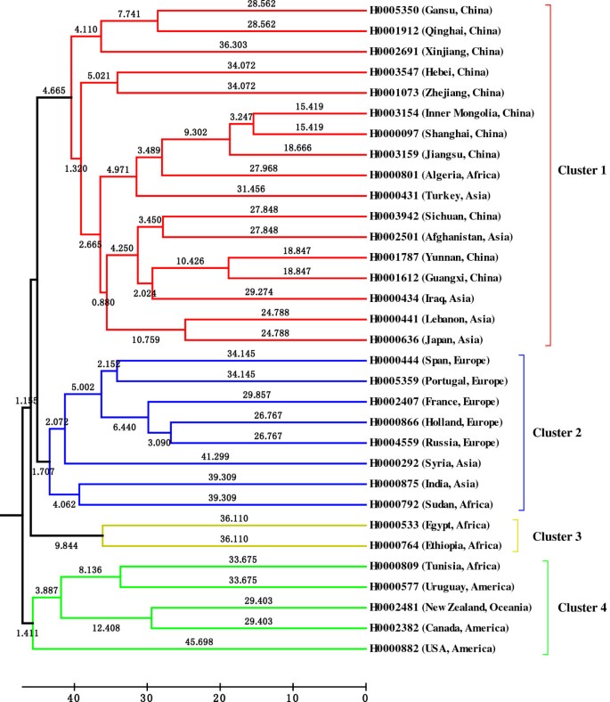 High-throughput novel microsatellite marker of faba bean via next ...