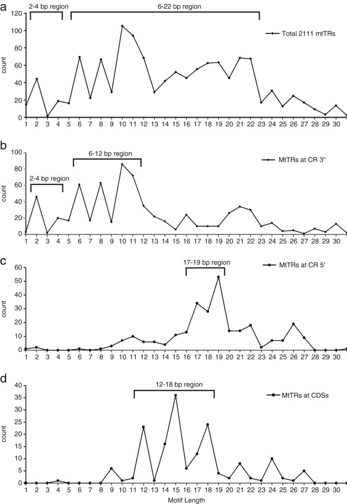Pause-melting misalignment: a novel model for the birth and motif indel ...