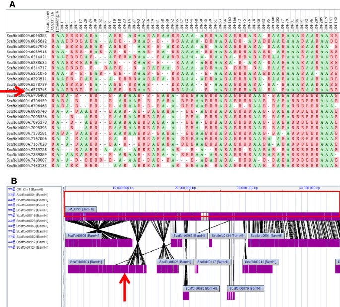 An improved genome release (version Mt4.0) for the model legume ...