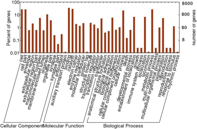 Transcriptome profiling of pyrethroid resistant and susceptible mosquitoes in the malaria vector ...