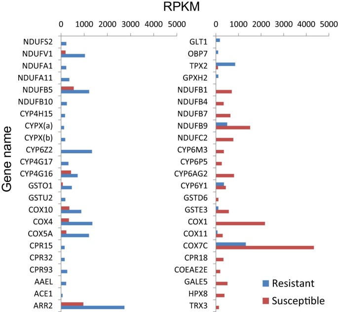 Transcriptome profiling of pyrethroid resistant and susceptible mosquitoes in the malaria vector ...