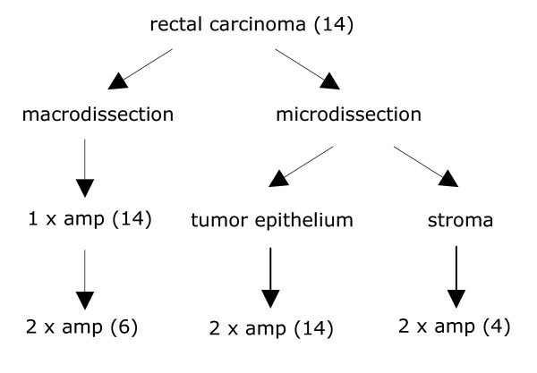 Macrodissection versus microdissection of rectal carcinoma: minor ...
