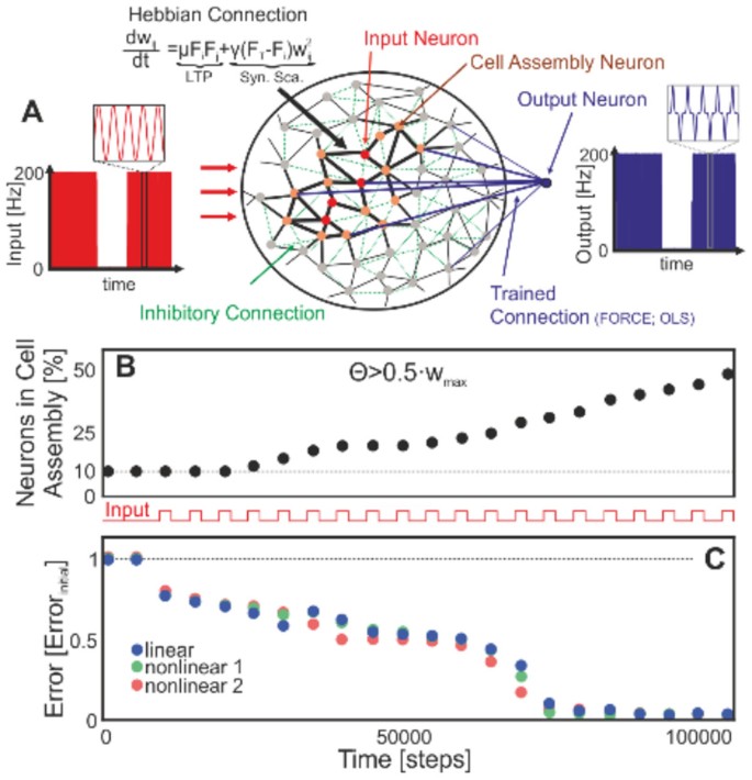Self-organization of computation in neural systems by interaction between homeostatic and ...
