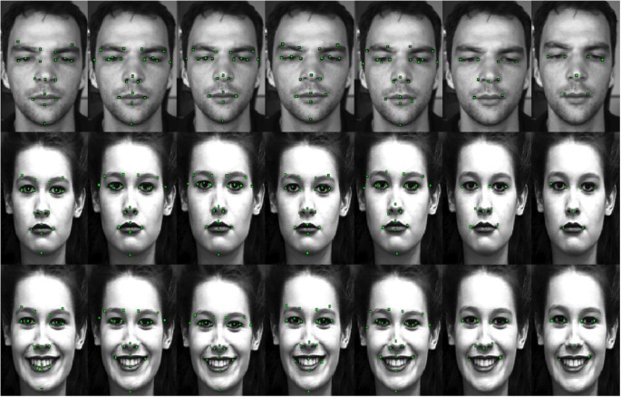 A comparative study of face landmarking techniques | EURASIP Journal on ...