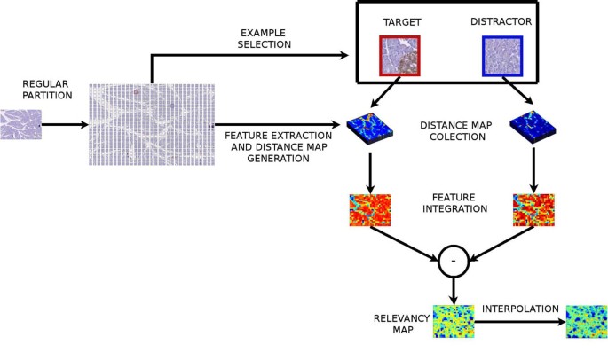Learning regions of interest from low level maps in virtual microscopy ...