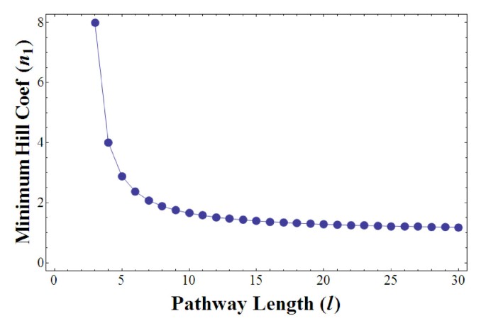 On the functional diversity of dynamical behaviour in genetic and ...