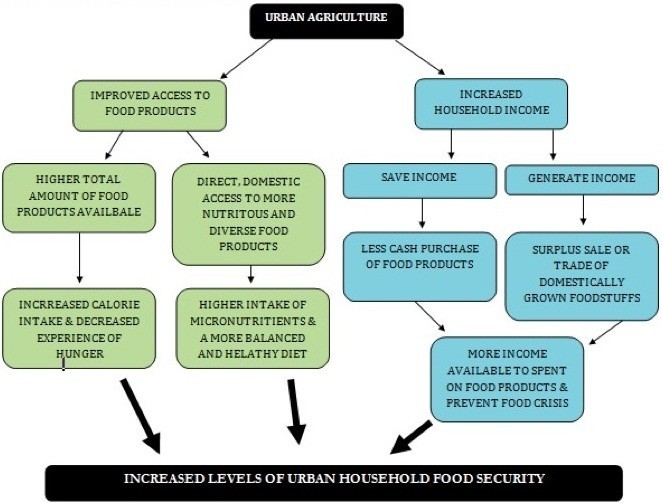 What are the impacts of urban agriculture programs on food security in ...